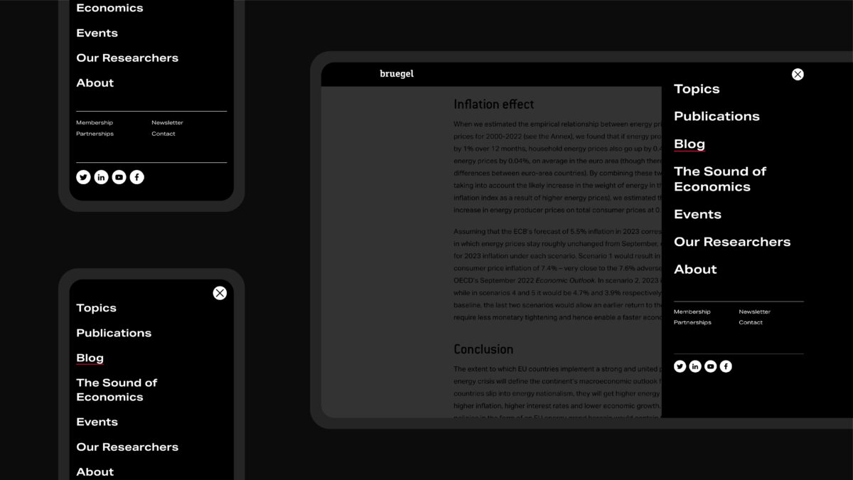 A pioneering platform for Europe’s leading economic think tank | Soapbox